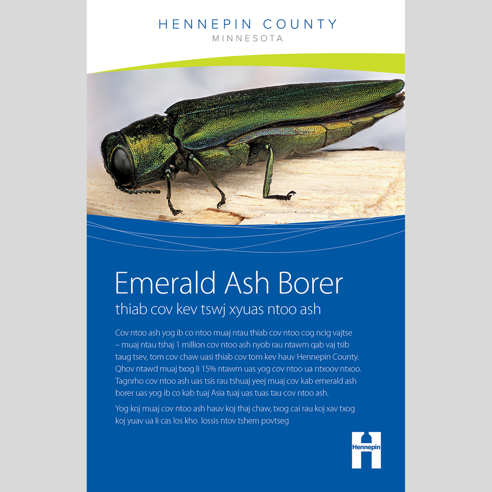 Emerald ash borer and options for managing ash trees booklet ...