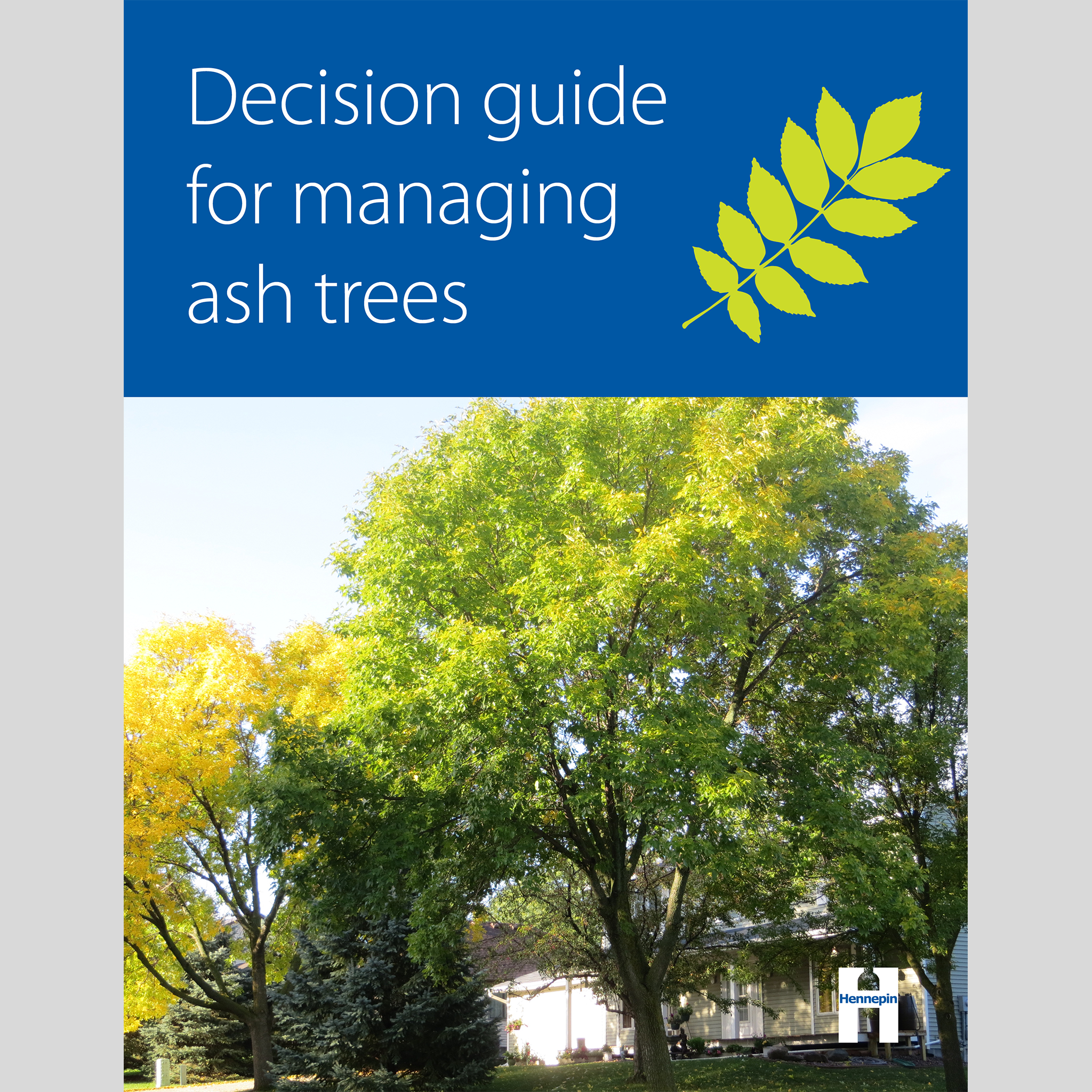 Decision guide for managing ash trees – Environmental materials