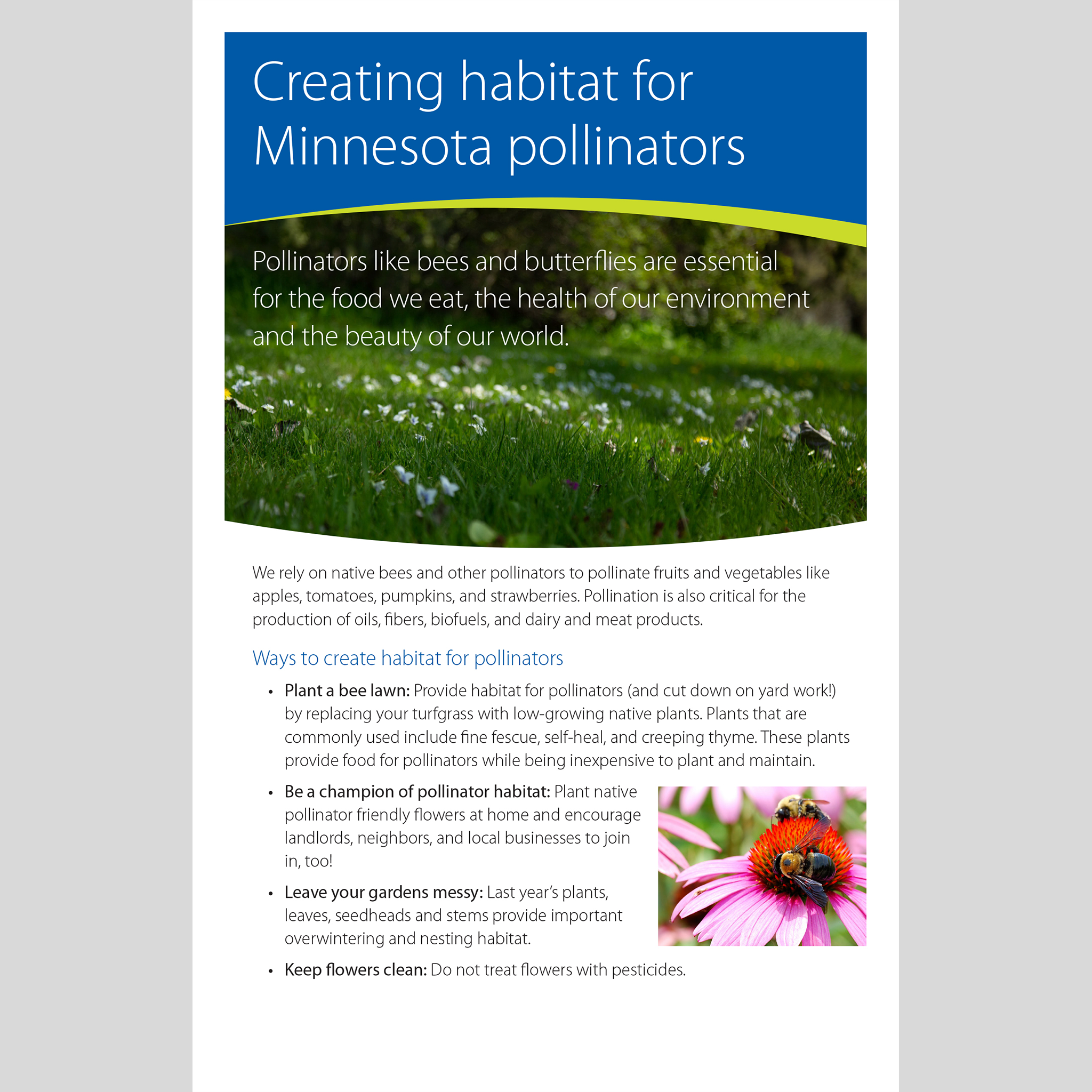 Creating habitat for Minnesota pollinators – Environmental materials
